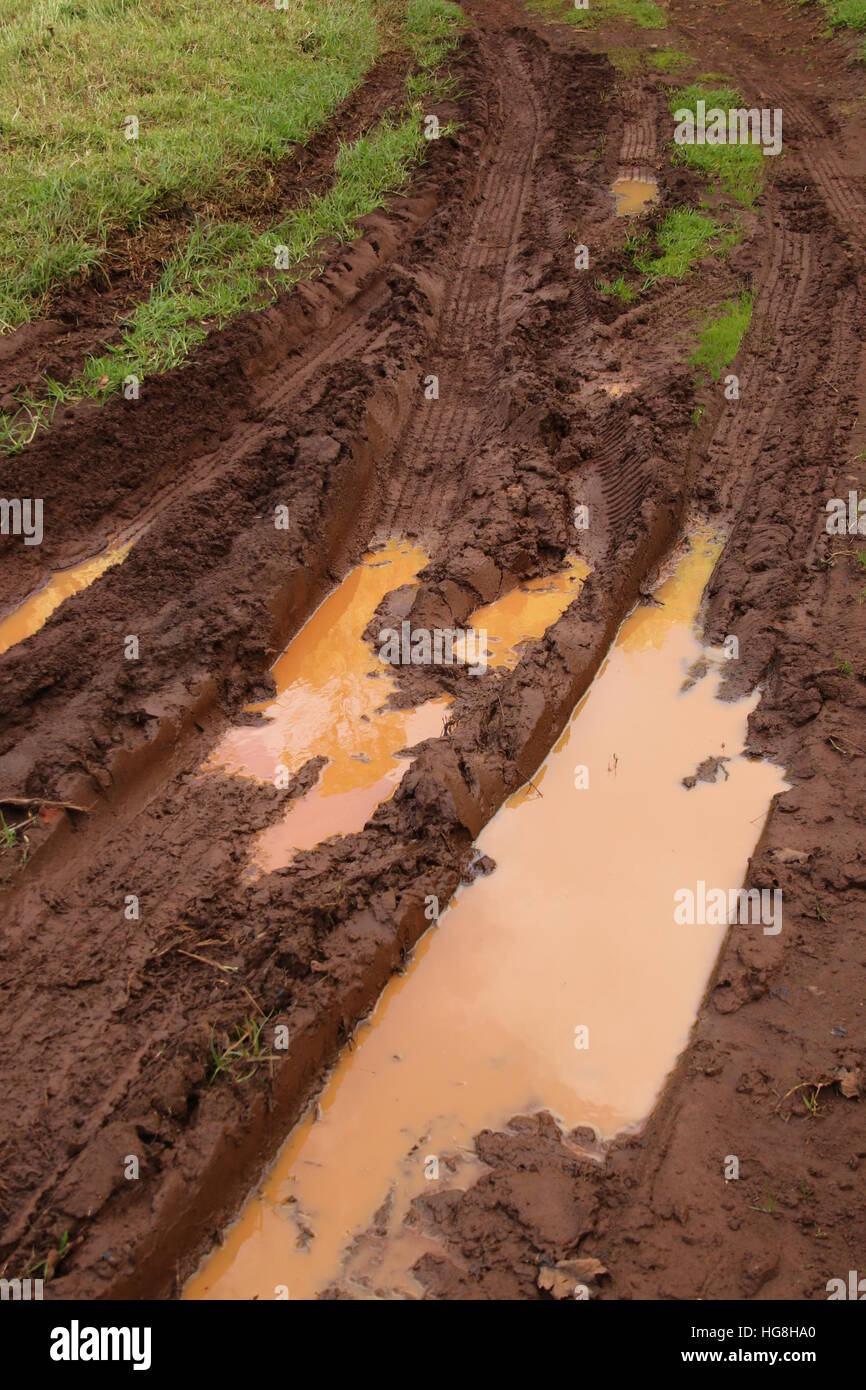 Muddy soil hi-res stock photography and images - Alamy