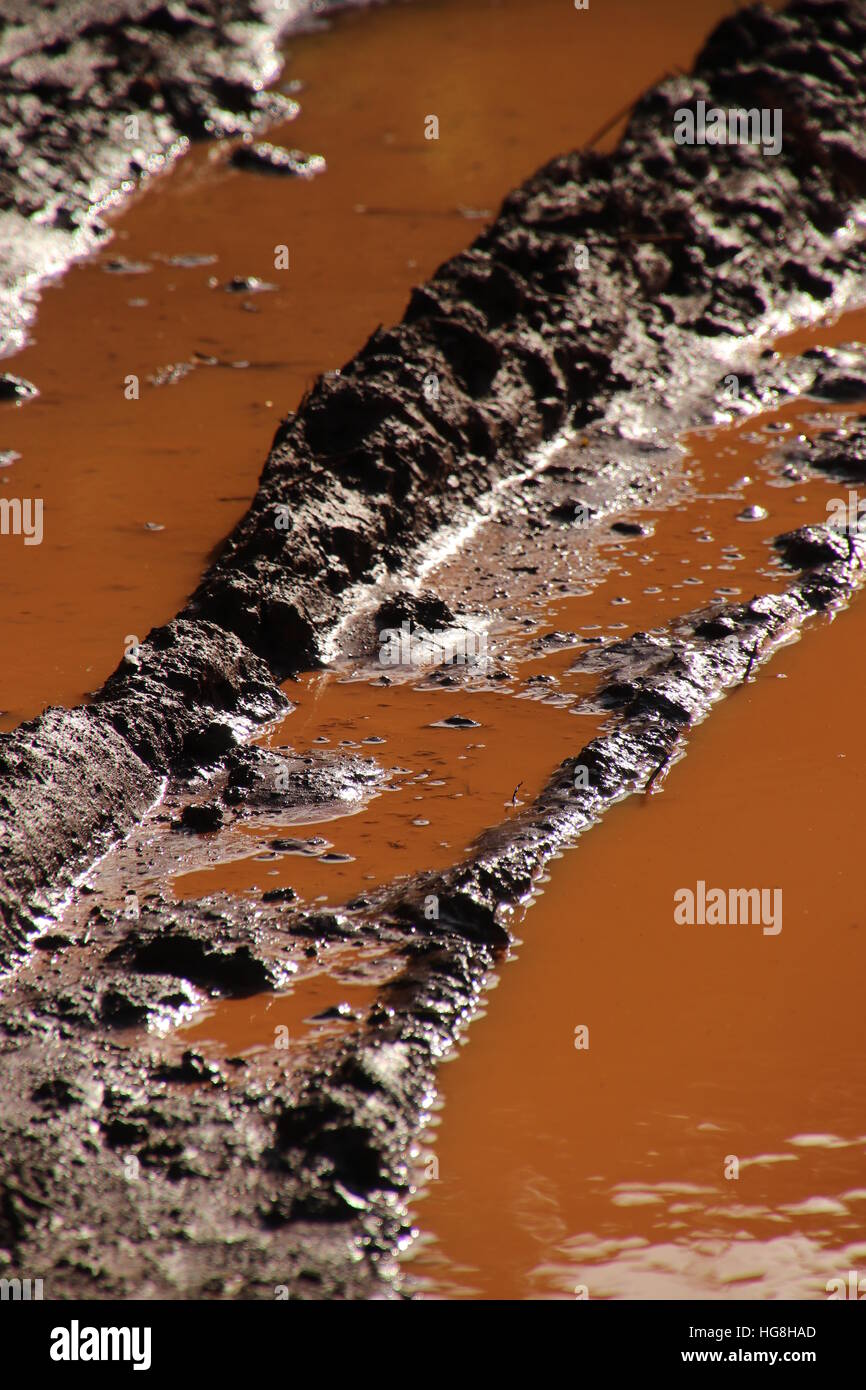 Muddy puddle hi-res stock photography and images - Alamy