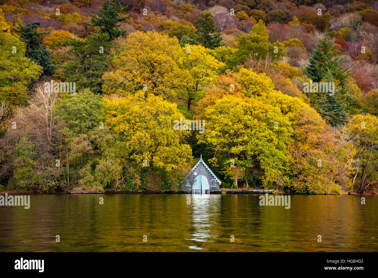Lakeside trees hi-res stock photography and images - Alamy