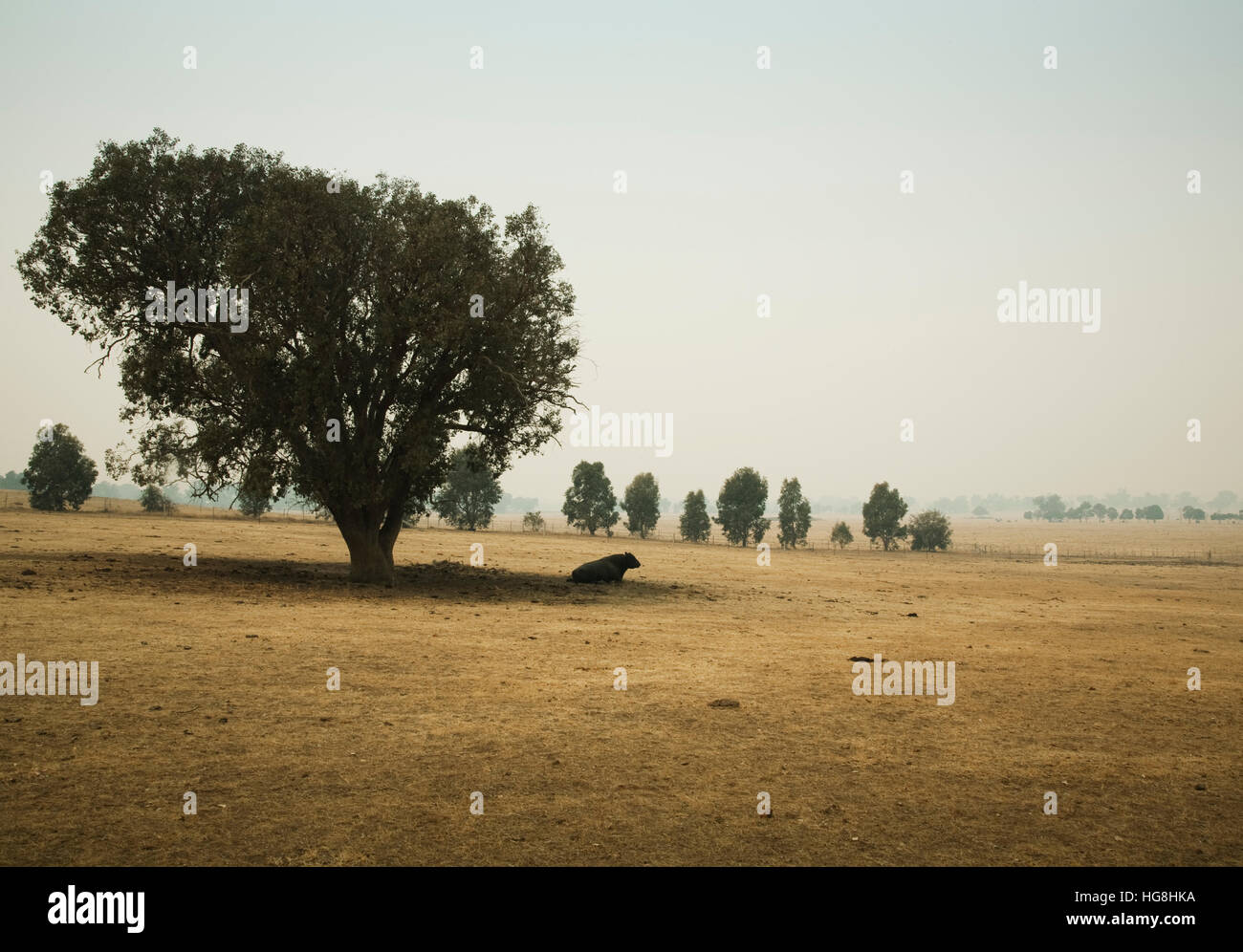 Joe wigdahl Stock Photos & Images from Alamy