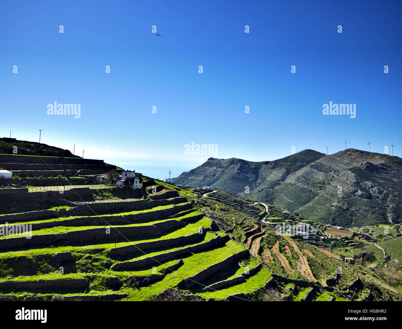 Terrace On Hillside Farming