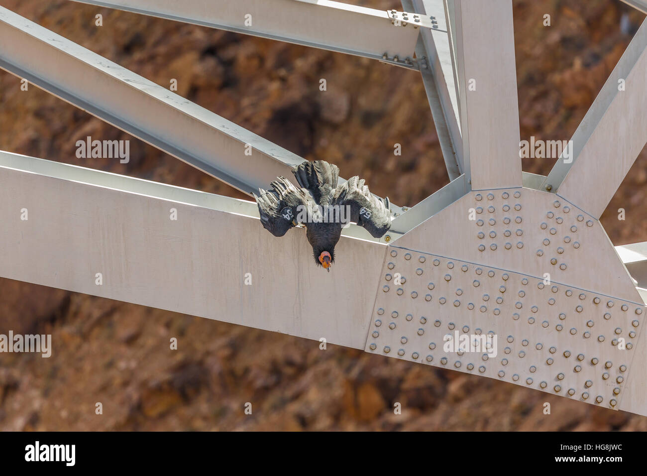 Highway 54 hi-res stock photography and images - Alamy