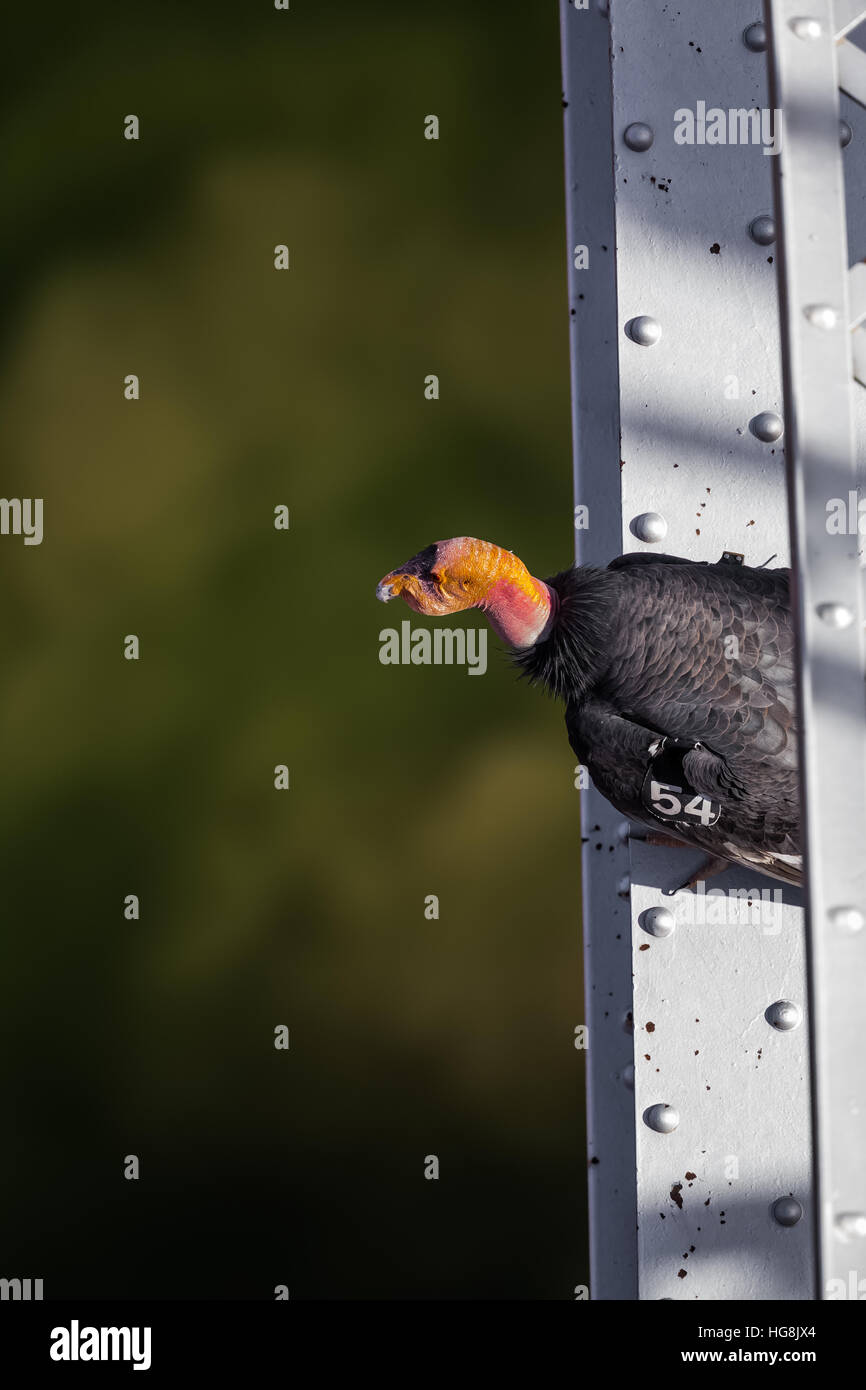 Highway 54 bridge hi-res stock photography and images - Alamy