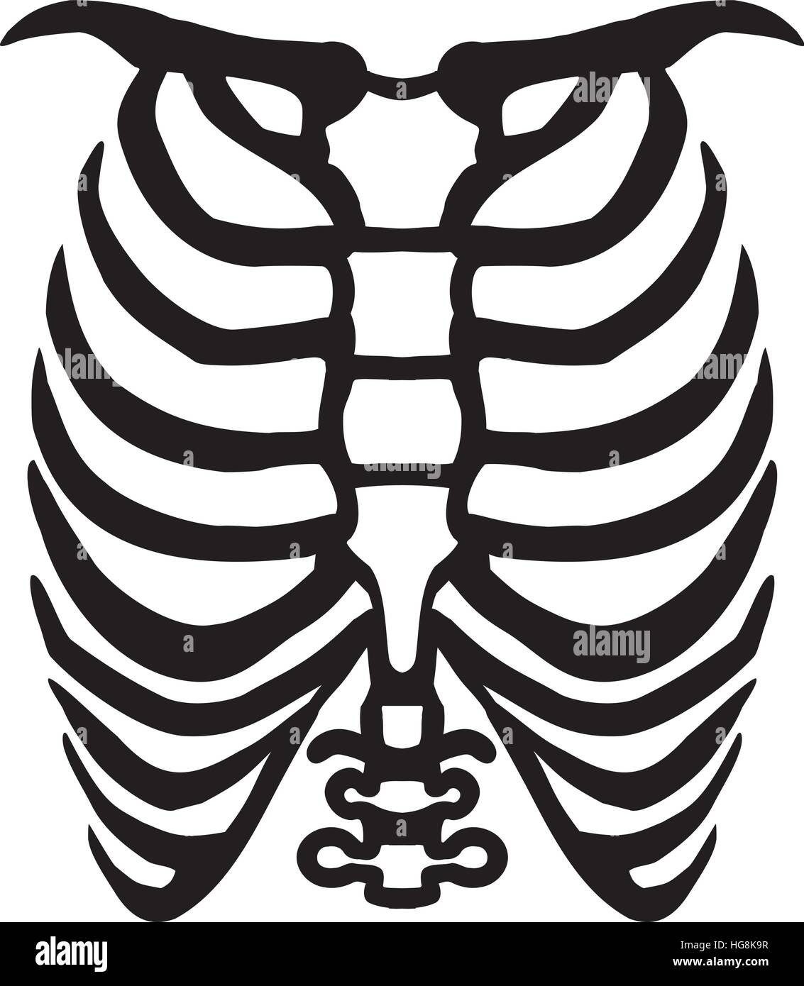 Rib cage skeleton Stock Vector Images - Alamy