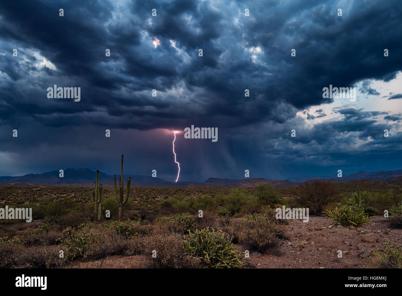 Summer thunderstorm with lightning striking over the Arizona desert ...