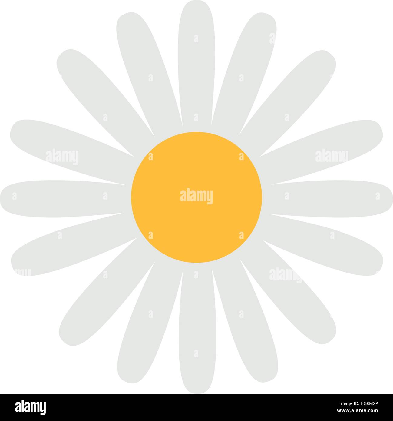 Daisy floral garden spring pictogram hi-res stock photography and ...