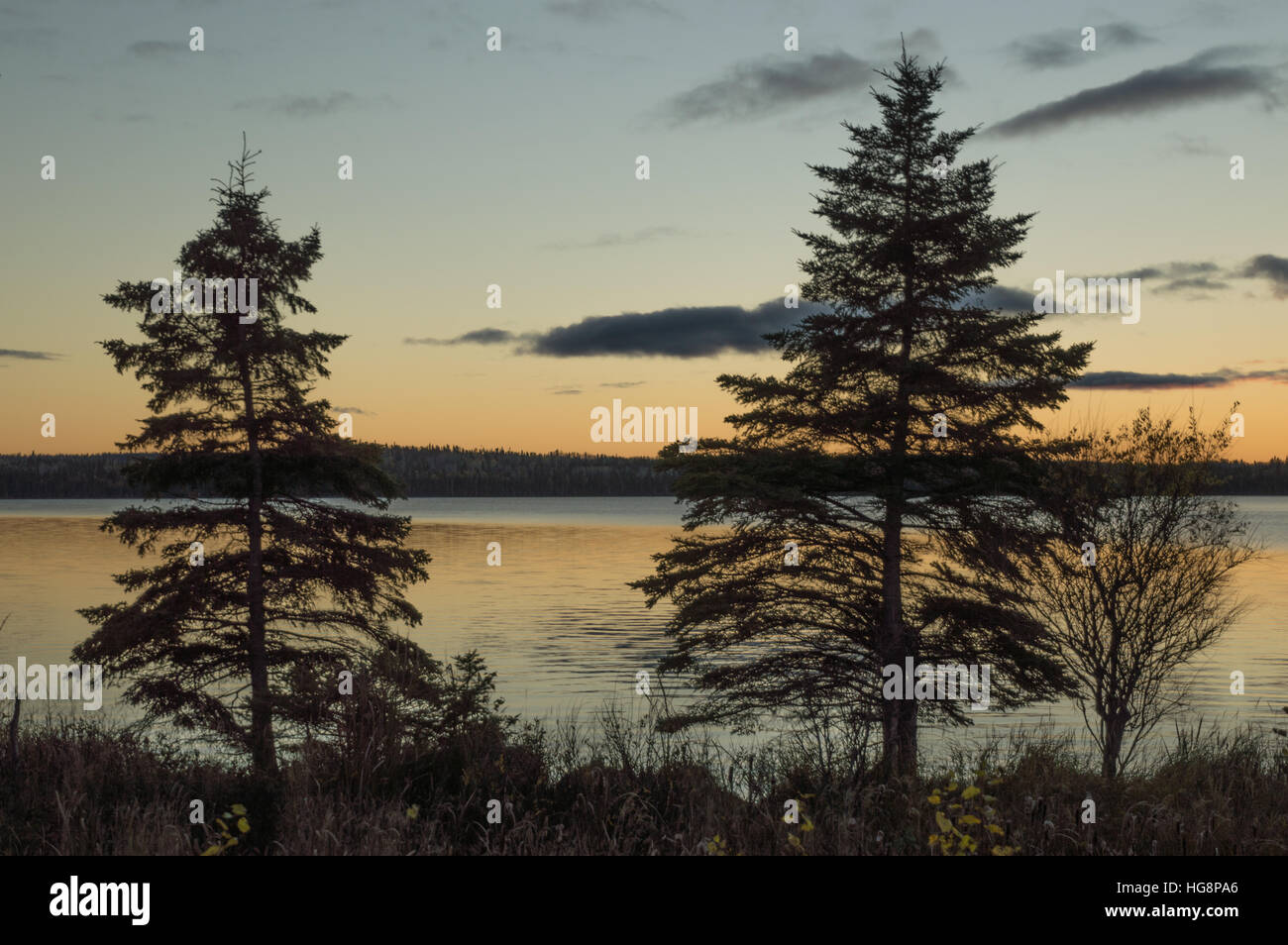 Canada northern ontario forest hi-res stock photography and images - Alamy