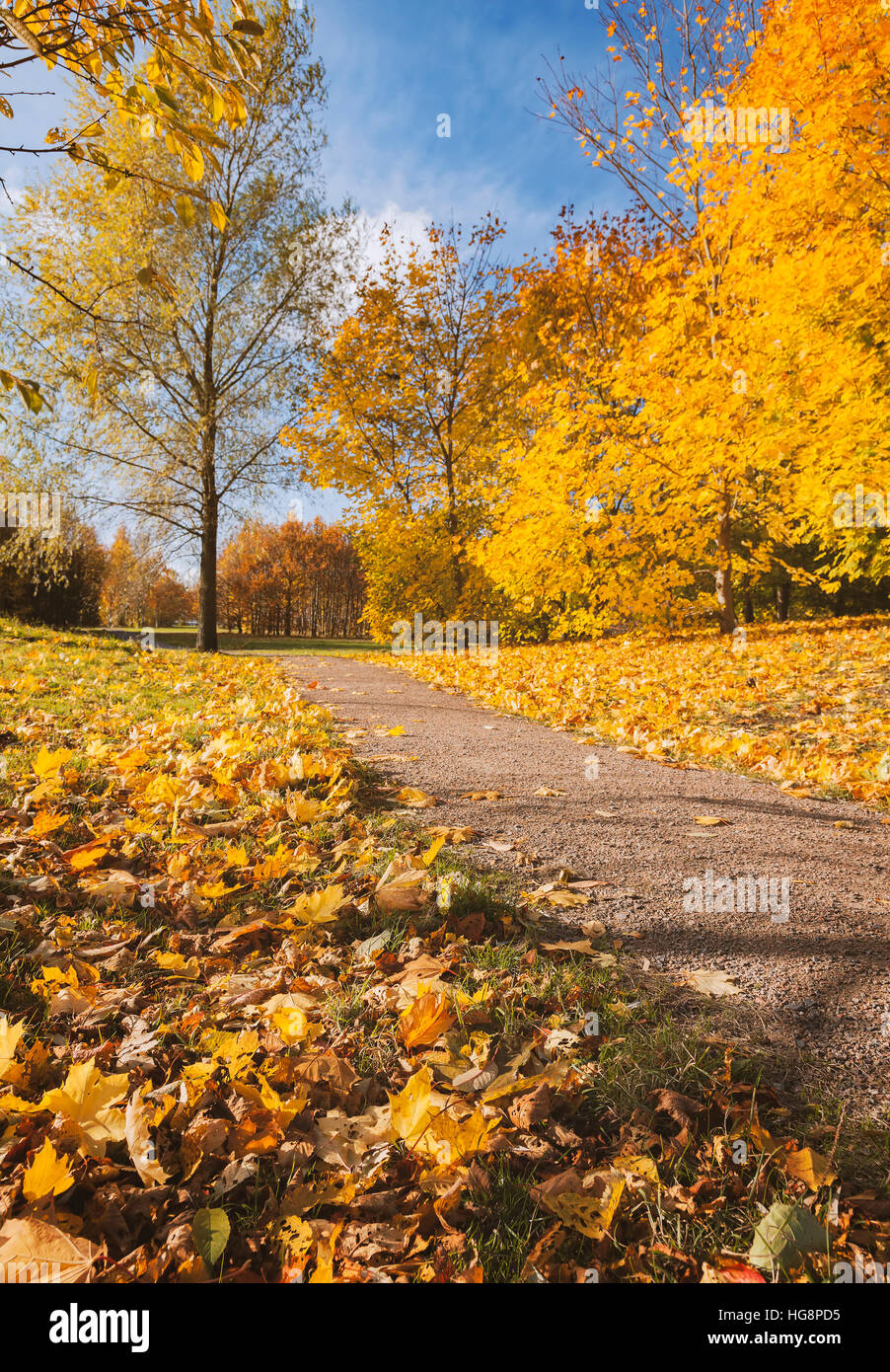 Colorful park hi-res stock photography and images - Alamy
