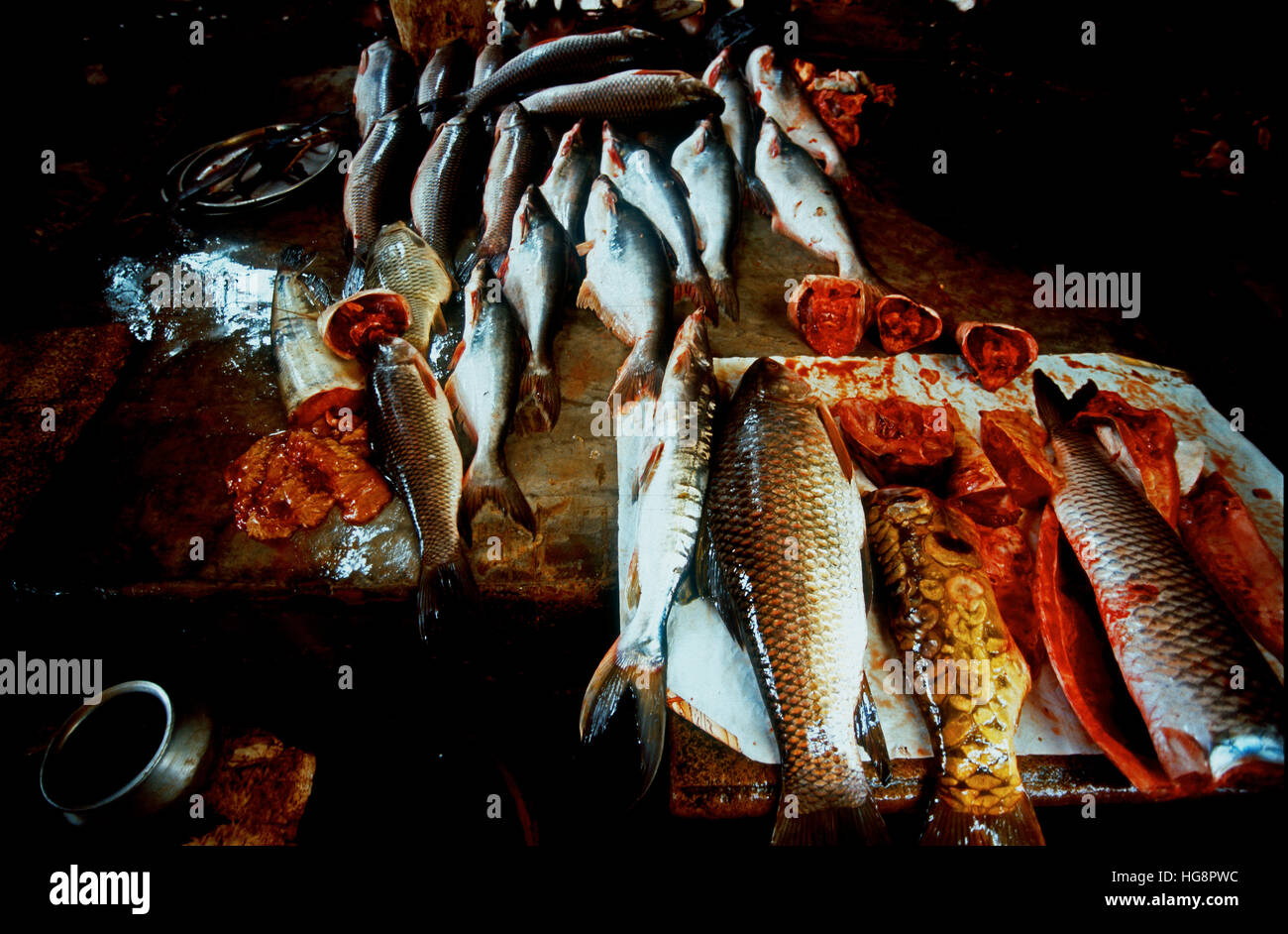Fresh river fish displayed in an indoor market in Benares,Varanasi ...