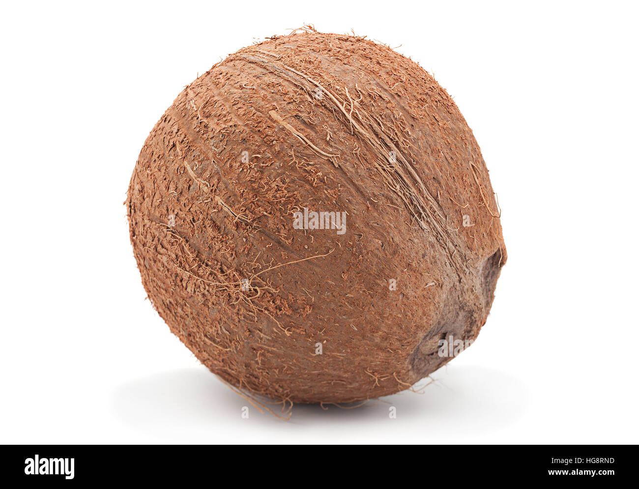 Coconut tropical fruit closeup isolated on white Stock Photo - Alamy