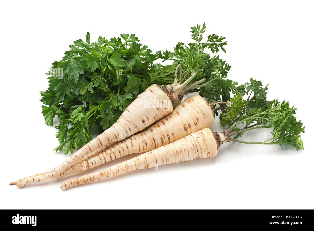 Parsley vegetable root isolated on white background Stock Photo - Alamy