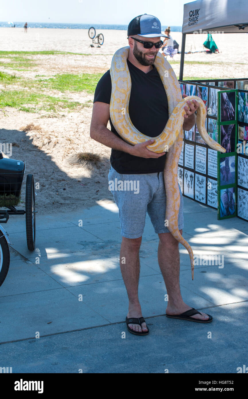 Man and snake hi-res stock photography and images - Alamy