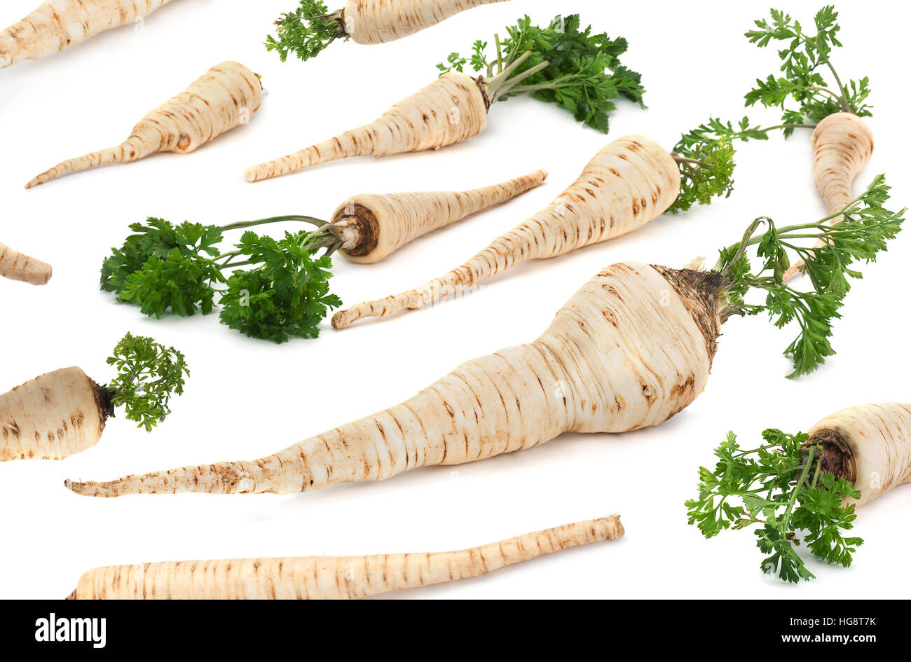 Parsley vegetable root isolated on white background Stock Photo - Alamy
