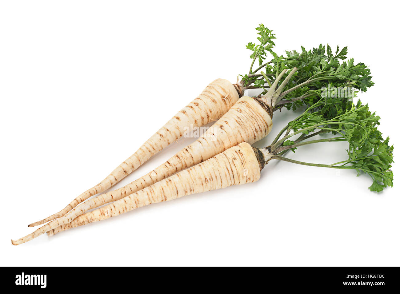 Parsley vegetable root isolated on white background Stock Photo - Alamy