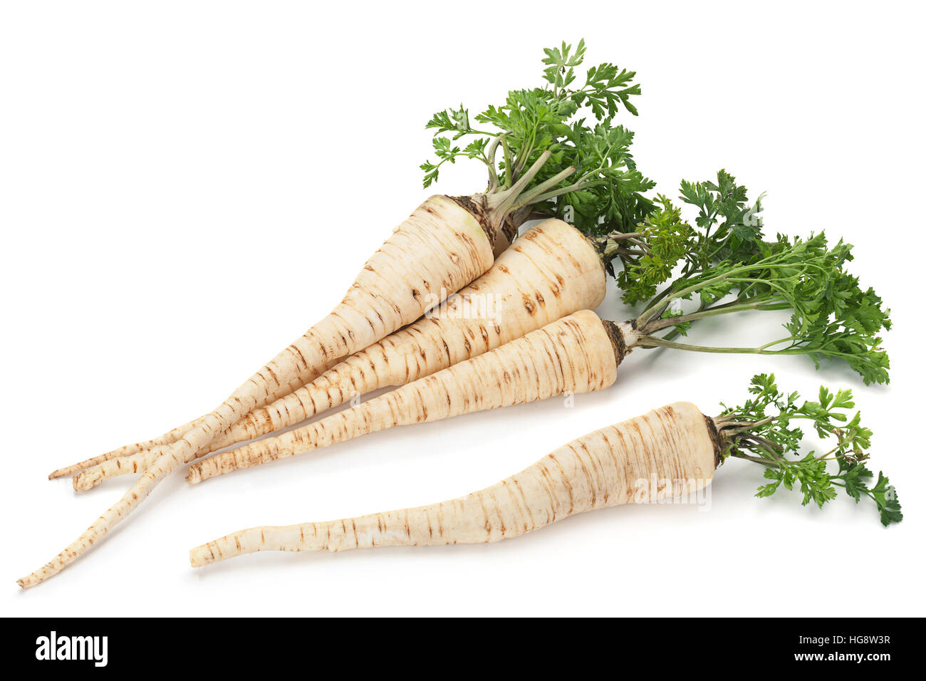 Parsley vegetable root isolated on white background Stock Photo - Alamy