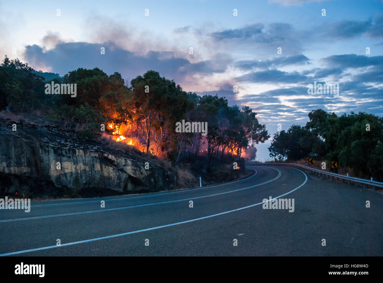 Burning tree forest fire hi-res stock photography and images - Alamy