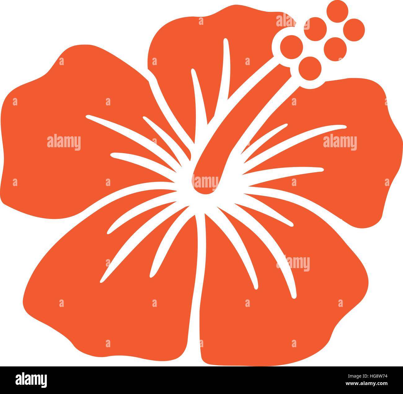 Hibiscus flower vector hi-res stock photography and images - Alamy