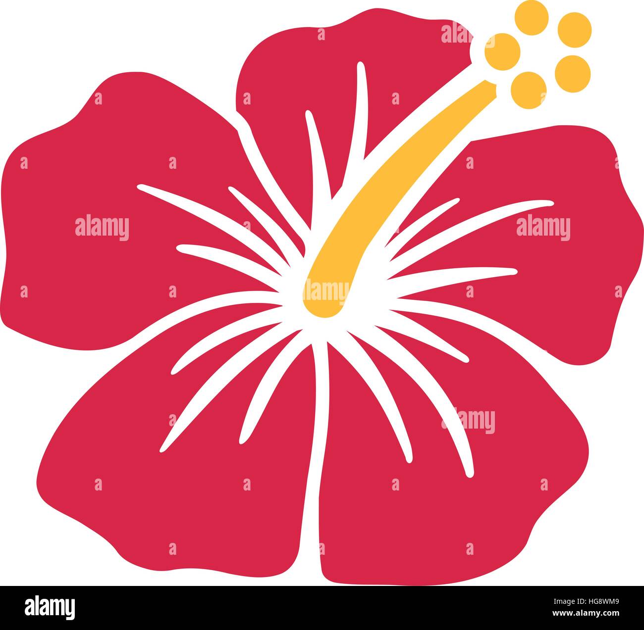 Hibiscus flower vector hi-res stock photography and images - Alamy