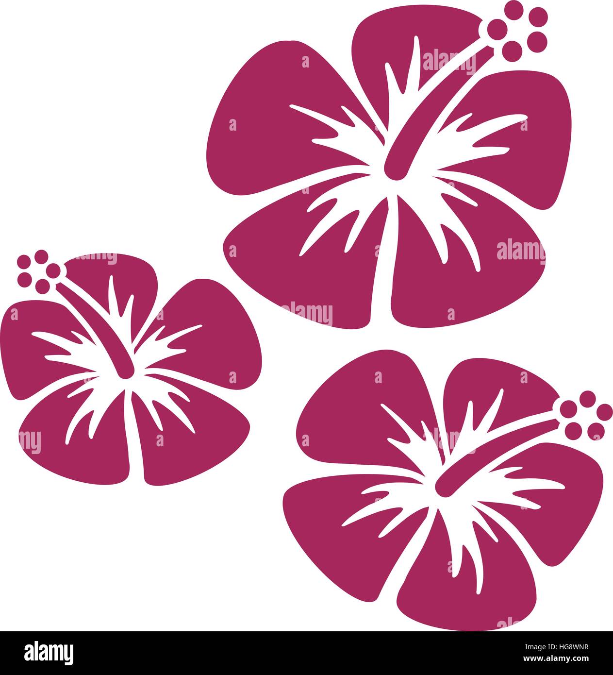 Hibiscus triple icons Stock Vector Image & Art - Alamy
