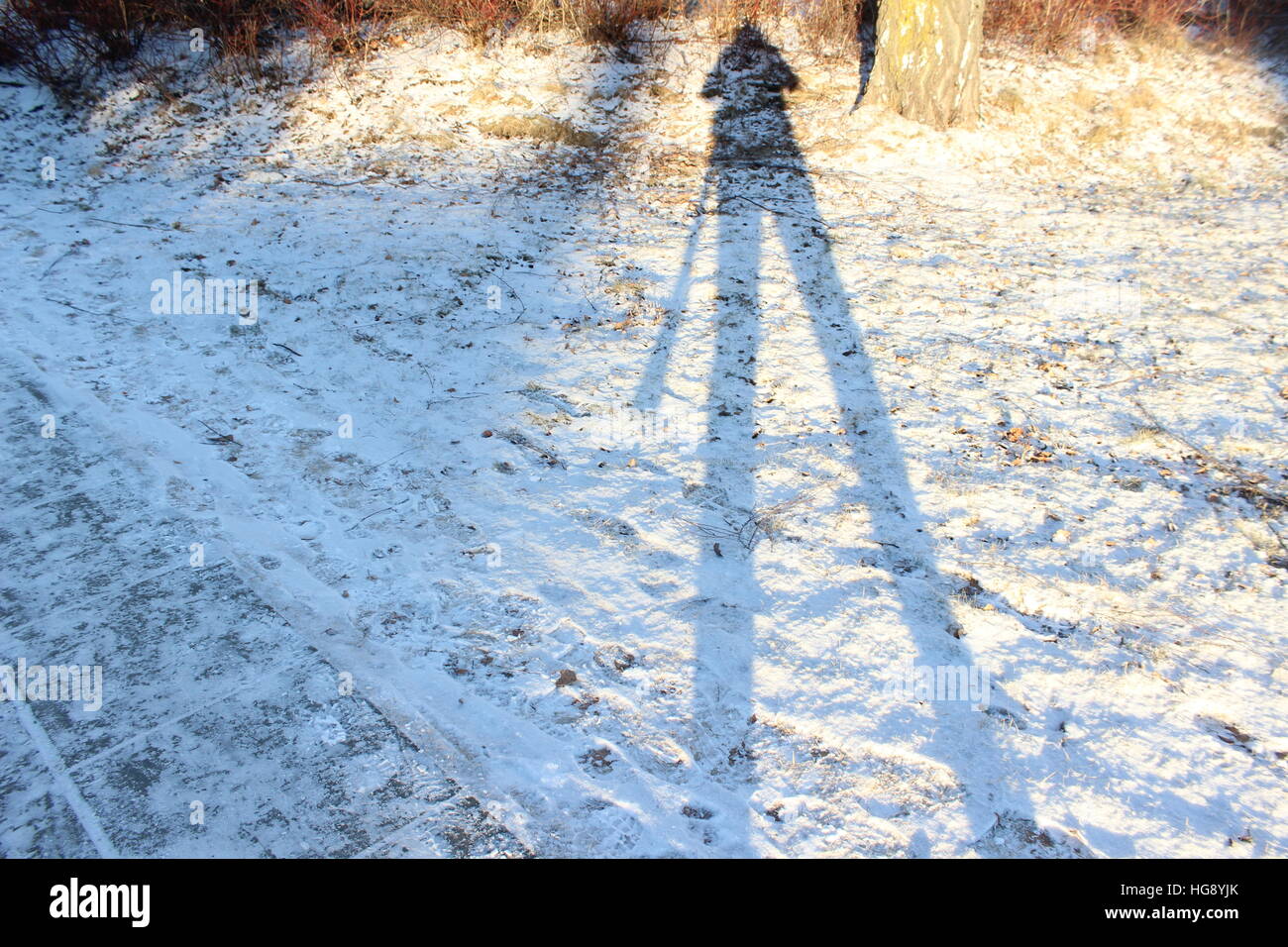 human shadow in the snow Stock Photo - Alamy