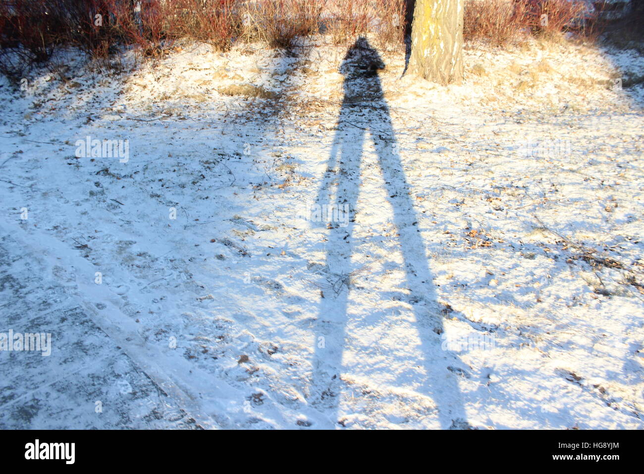 human shadow in the snow Stock Photo - Alamy