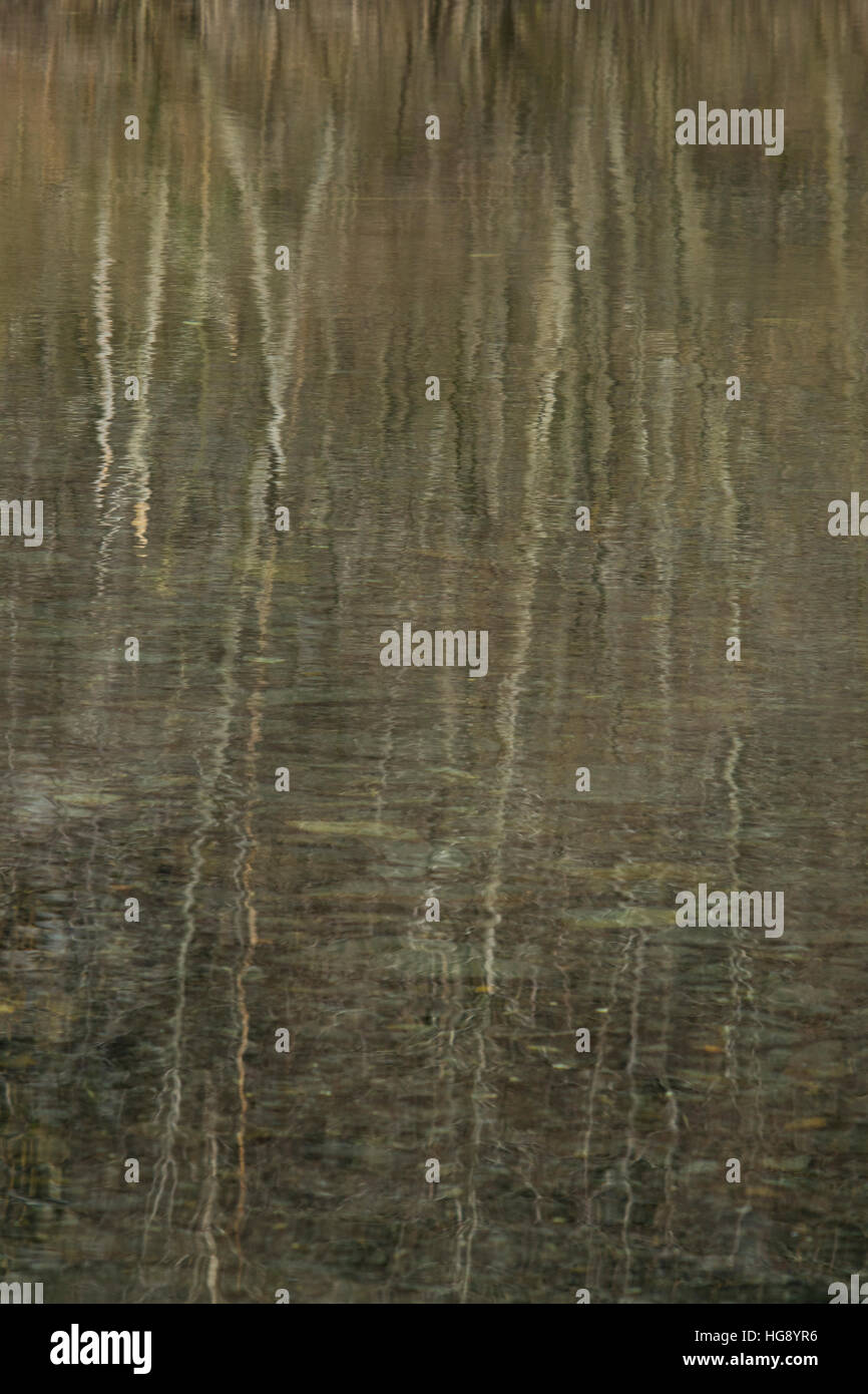 Ballachulish Slate Quarry detail, Glencoe, Scotland, UK Stock Photo - Alamy
