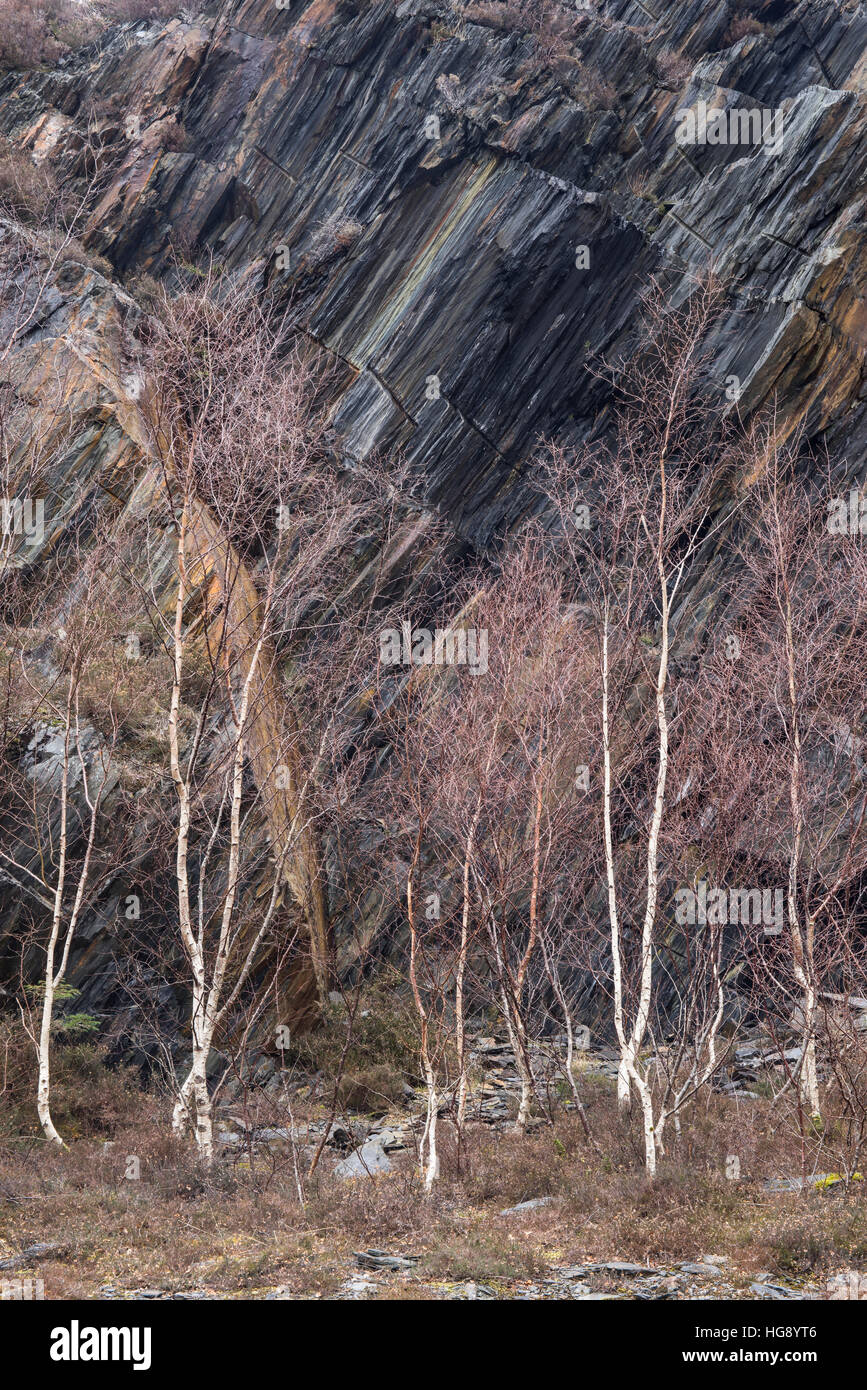 Ballachulish Slate Quarry detail, Glencoe, Scotland, UK Stock Photo - Alamy