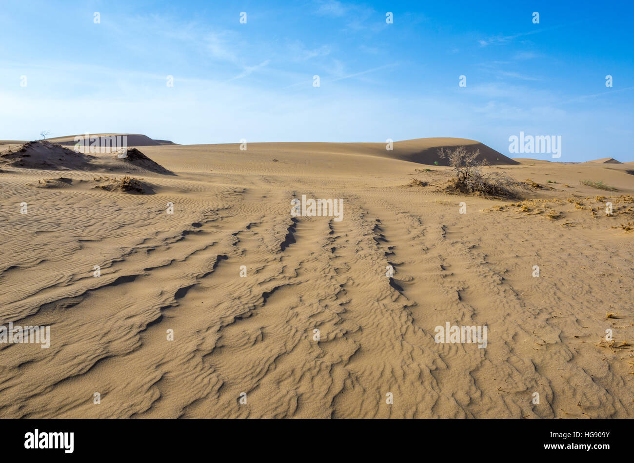 Yellow sand ripple marks in hi-res stock photography and images - Alamy