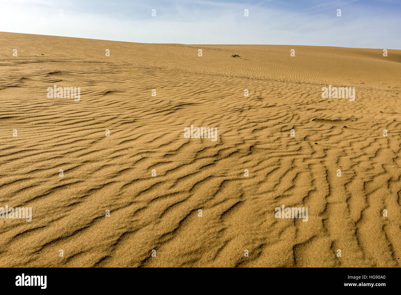 Ripple marks on sand dune on Maranjab Desert located in Aran va bidgol ...