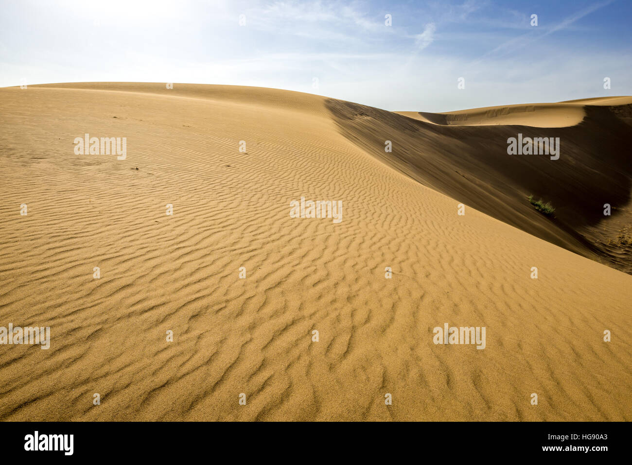 Ripple marks on sand dune on Maranjab Desert located in Aran va bidgol ...