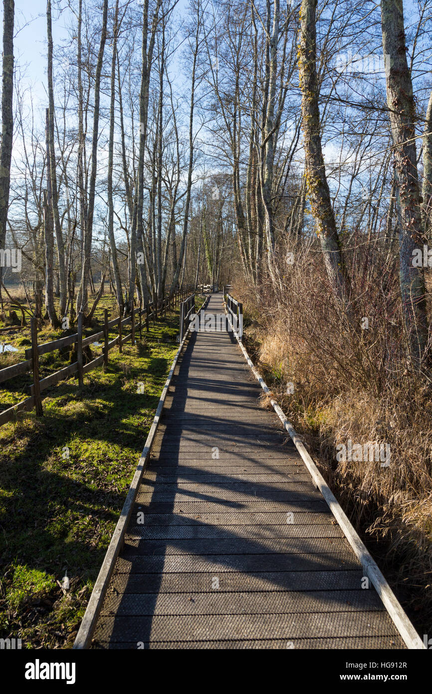 Walkway / pathway / foot path / footpath for walking tourists / hikers ...