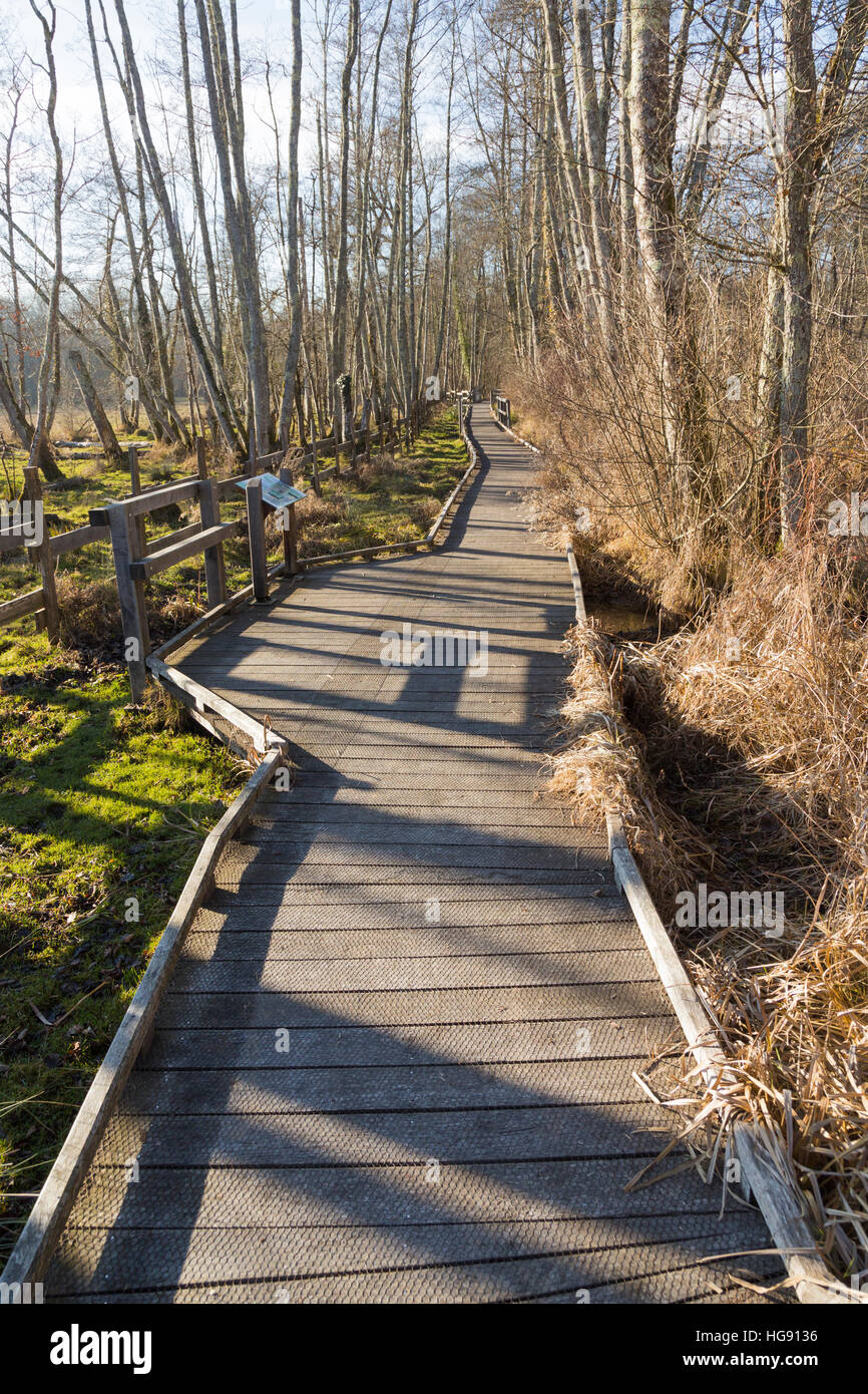 Walkway / pathway / foot path / footpath for walking tourists / hikers ...