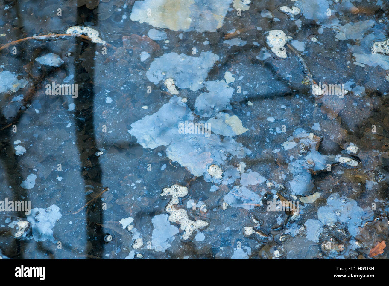 Water pool / pond / slow flowing stream contaminated / polluted with ...