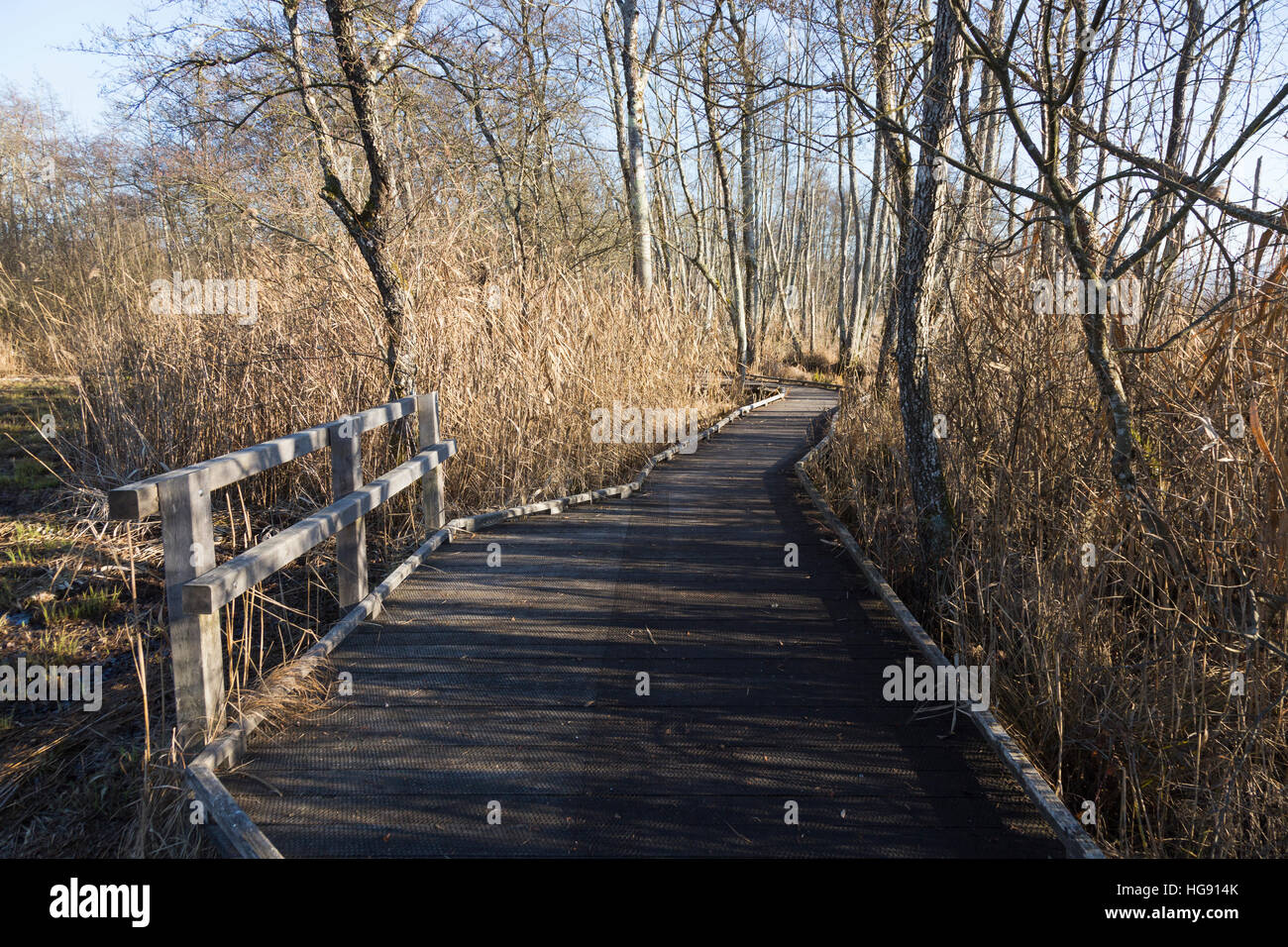 Walkway / pathway / foot path / footpath for walking tourists / hikers ...
