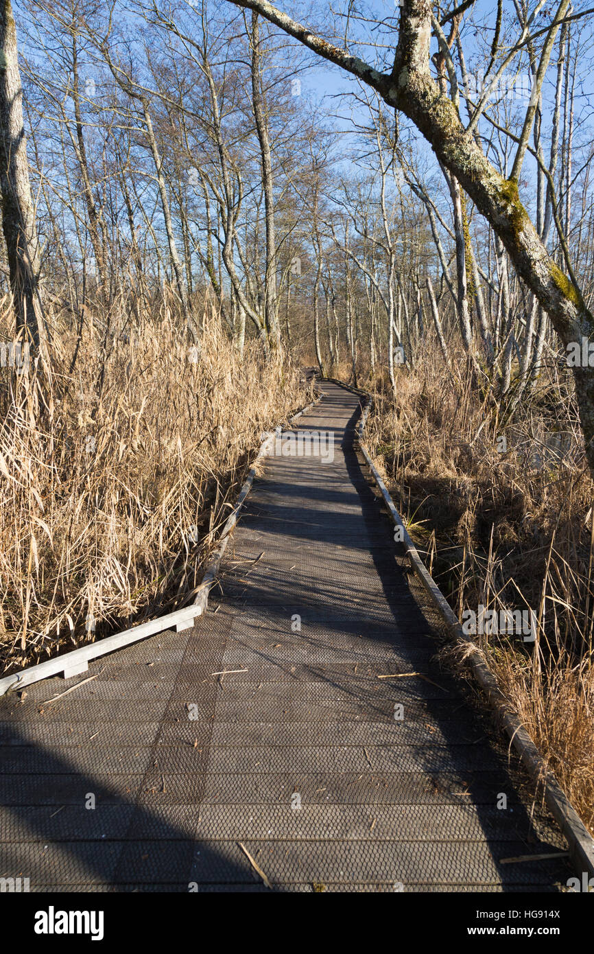 Walkway / pathway / foot path / footpath for walking tourists / hikers ...