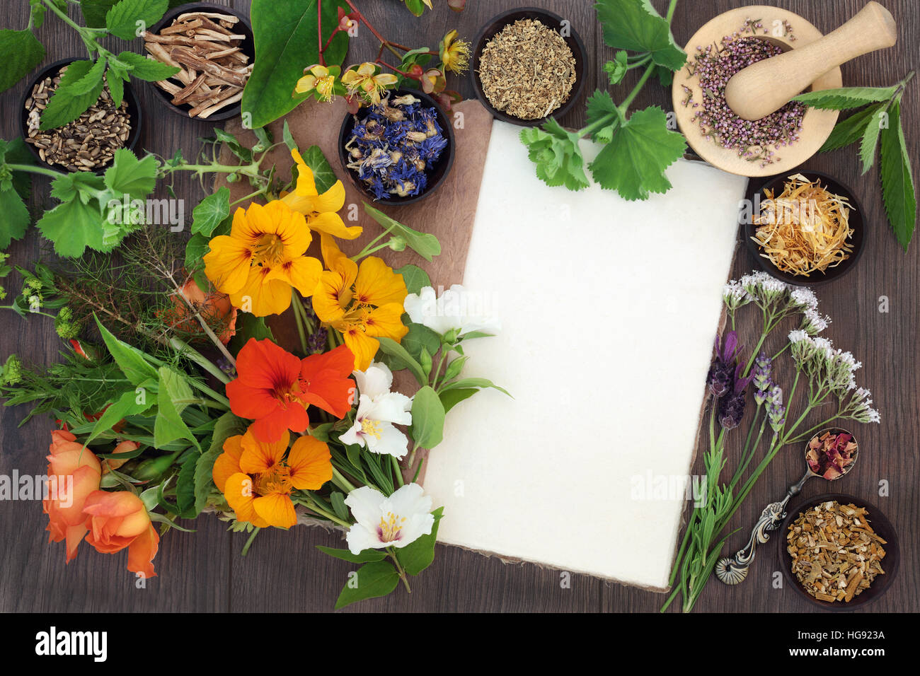 Natural alternative medicine selection with dried and fresh flowers and ...
