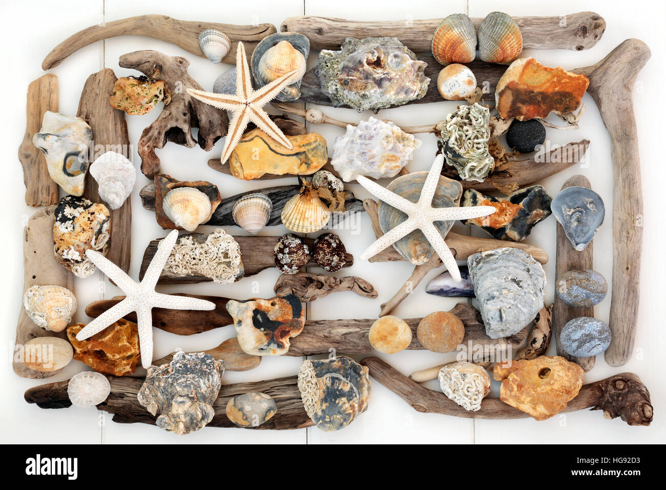 Natural abstract design of driftwood, seashells, seaweed and rocks ...
