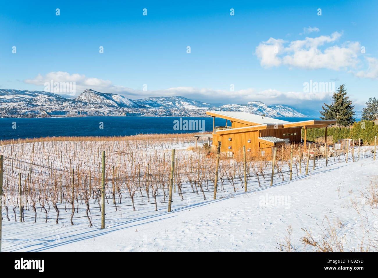 Deep Roots High Resolution Stock Photography and Images - Alamy