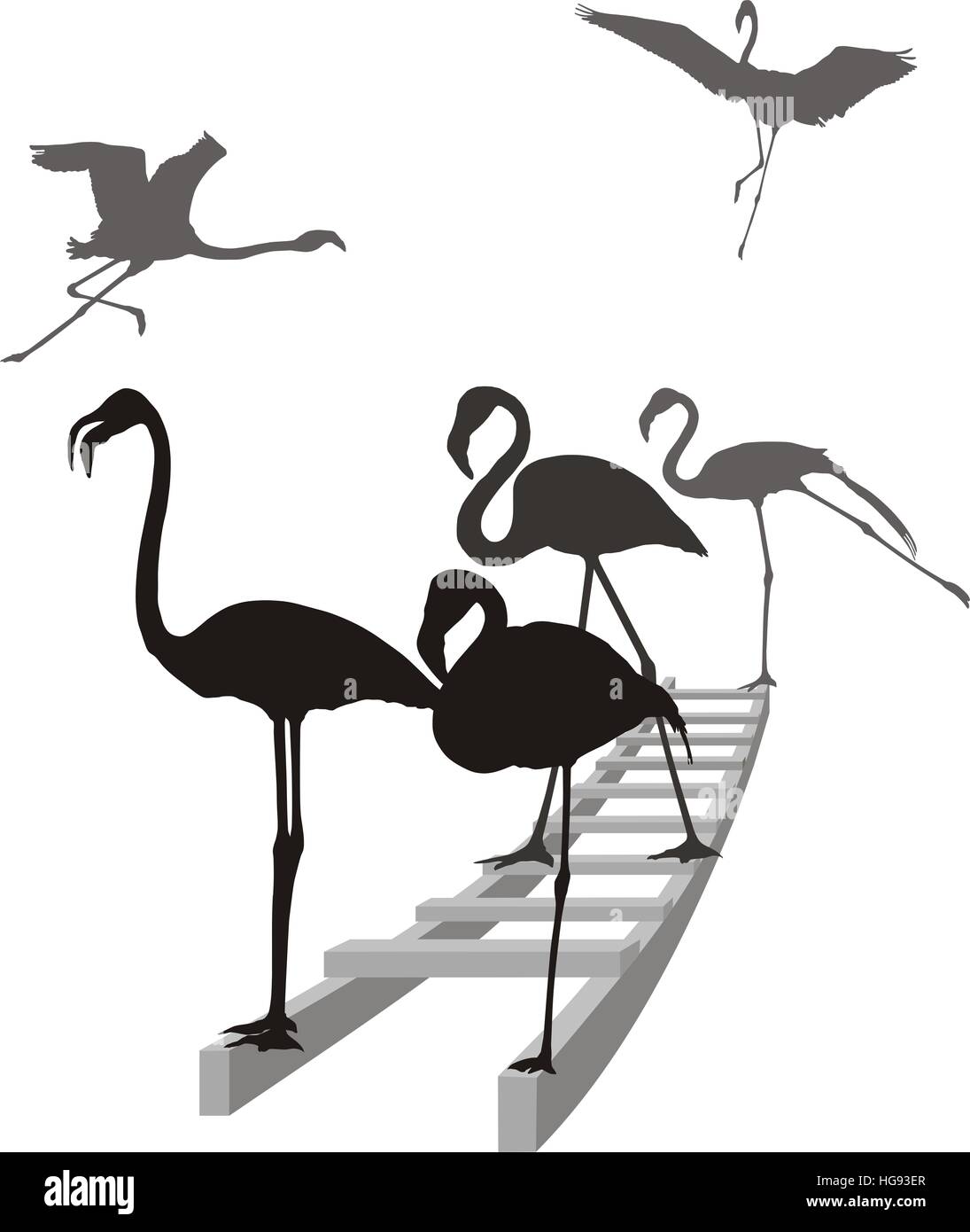 Flamingos on the ladder in grayscale Stock Photo - Alamy
