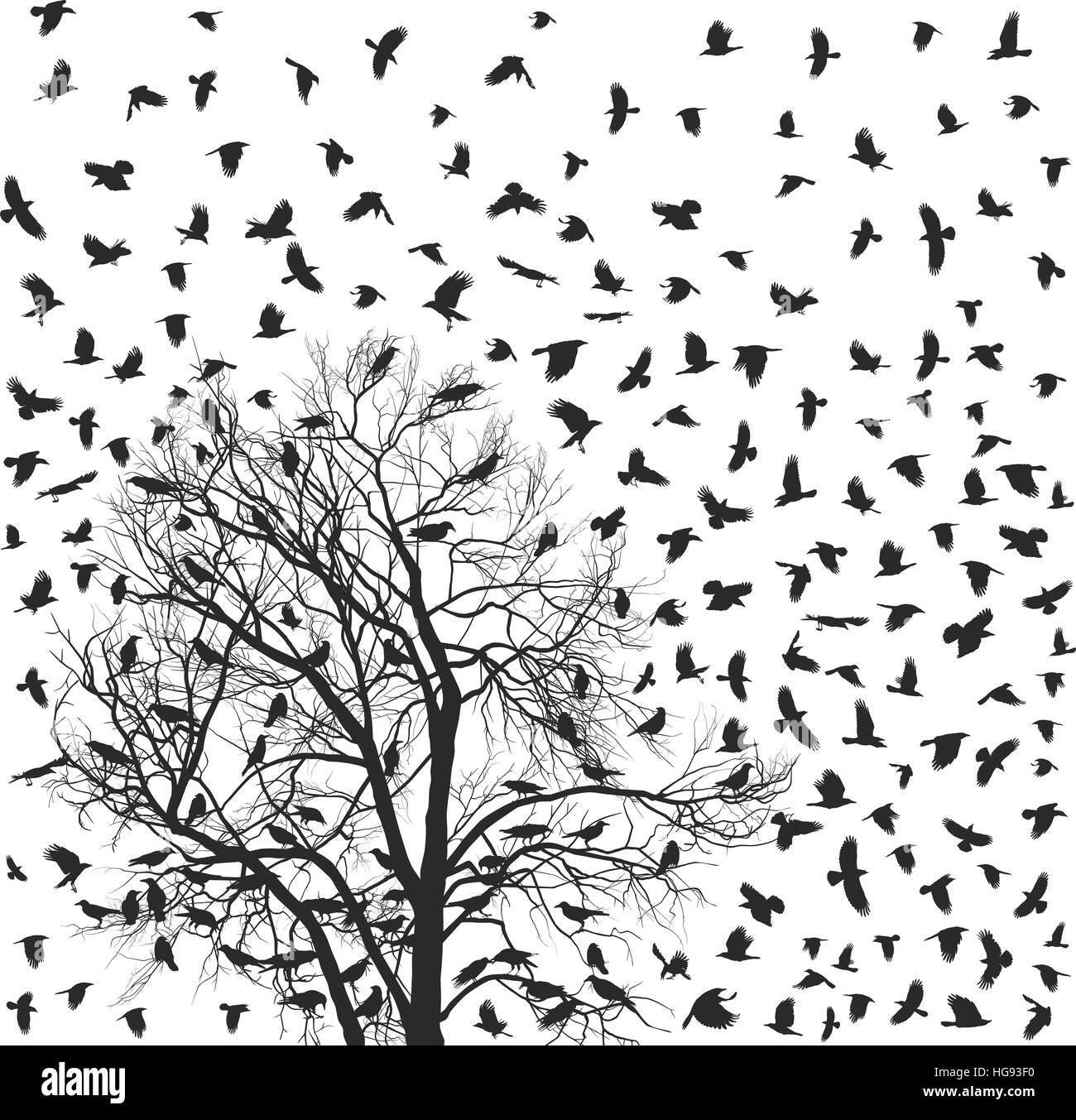 Crows claw hi-res stock photography and images - Alamy