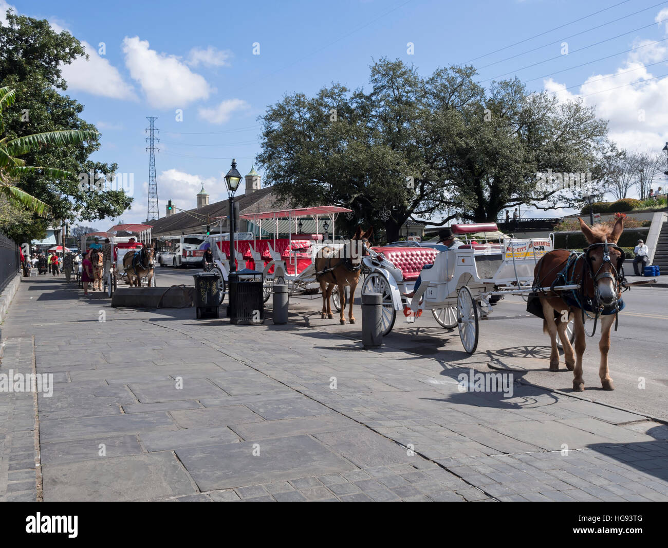 Mules and carriages waiting for customers outside Jackson Square, New ...