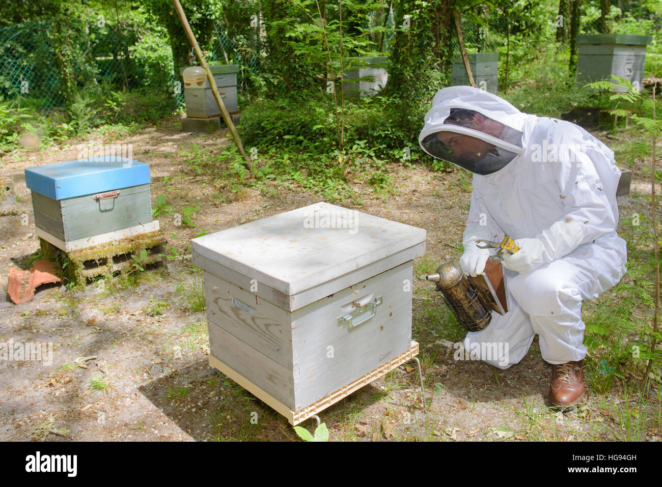 Beehive Cap High Resolution Stock Photography and Images - Alamy