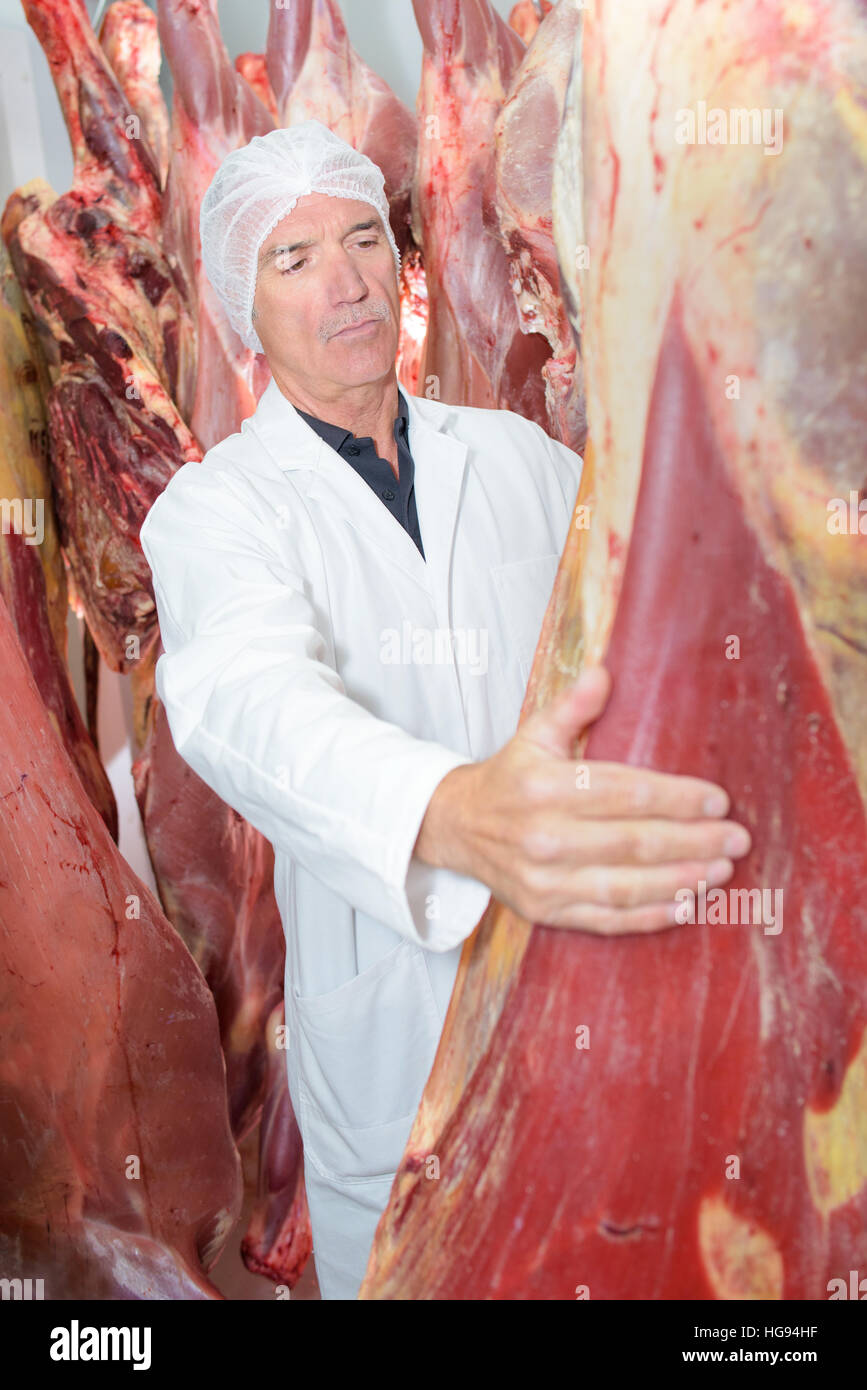 Dead animal flesh hi-res stock photography and images - Alamy