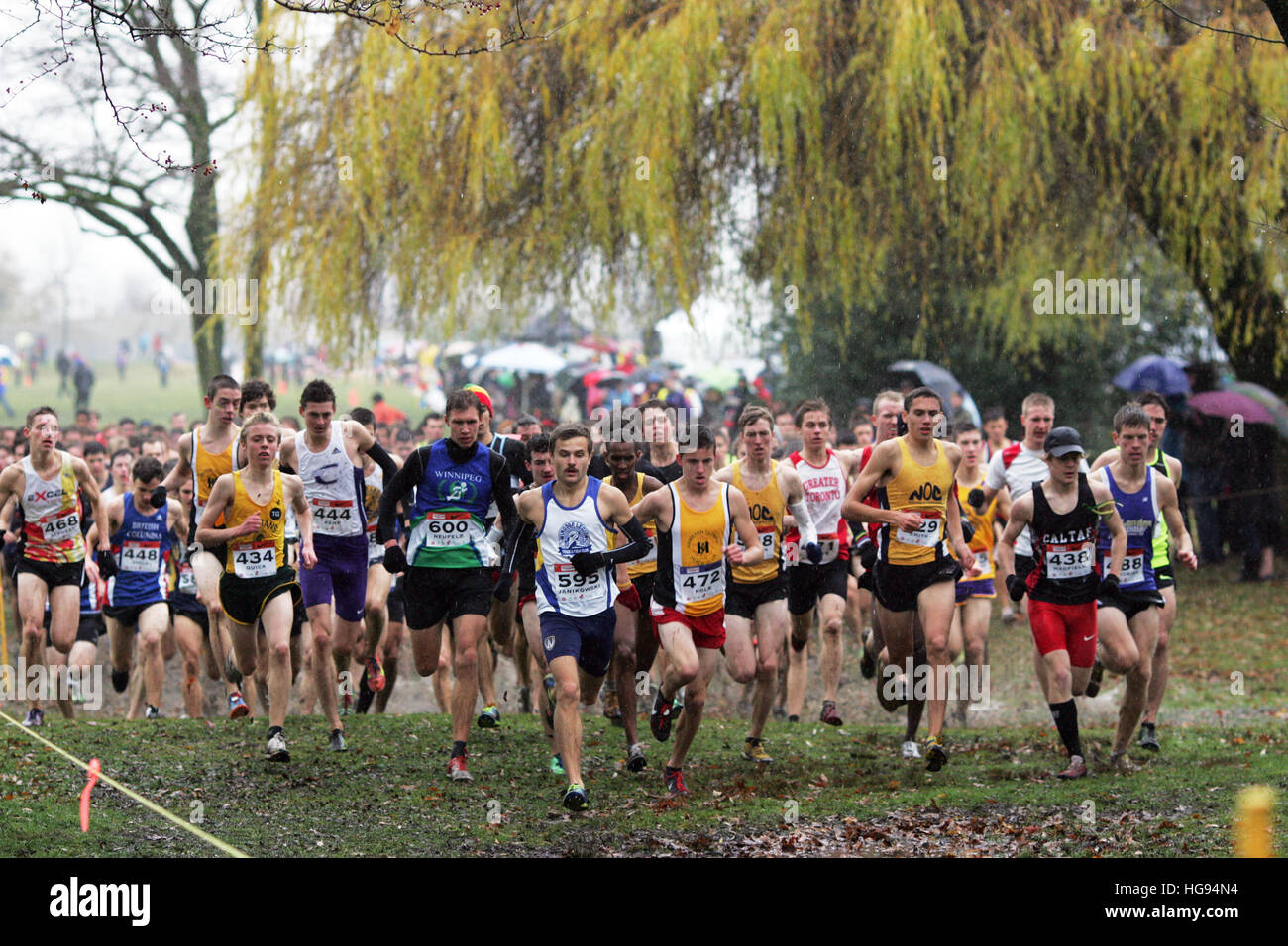 (Vancouver, Canada---26 November 2011) start of the junior boys race ...