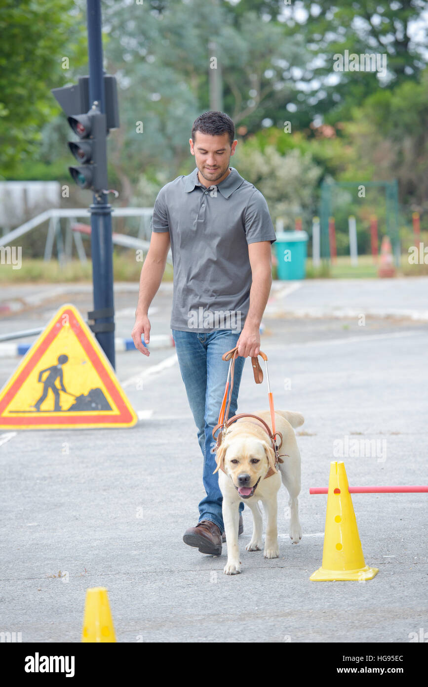 Man walking dog Stock Photo - Alamy