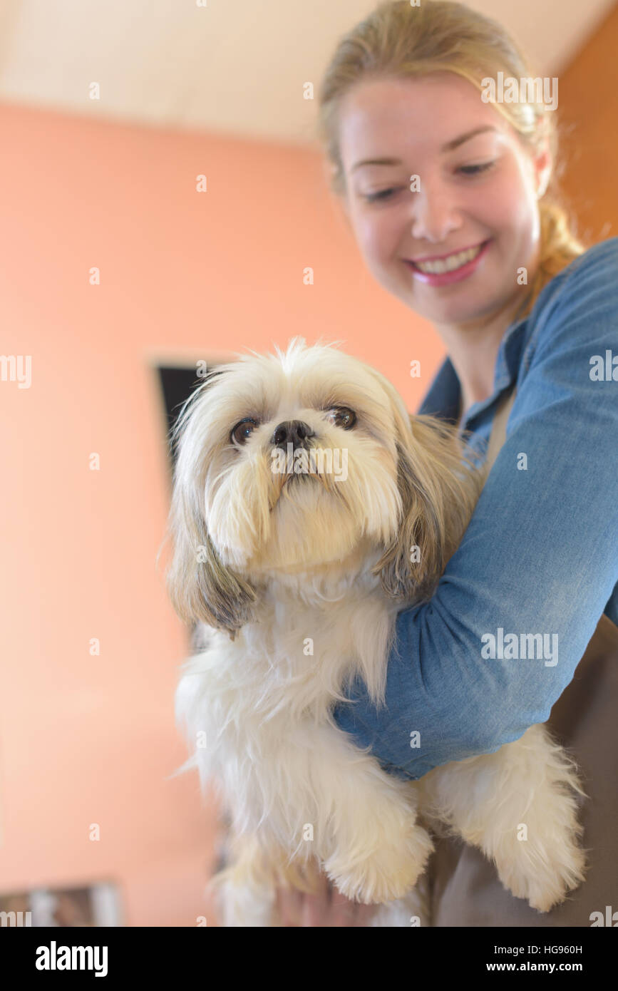 carrying a dog Stock Photo - Alamy