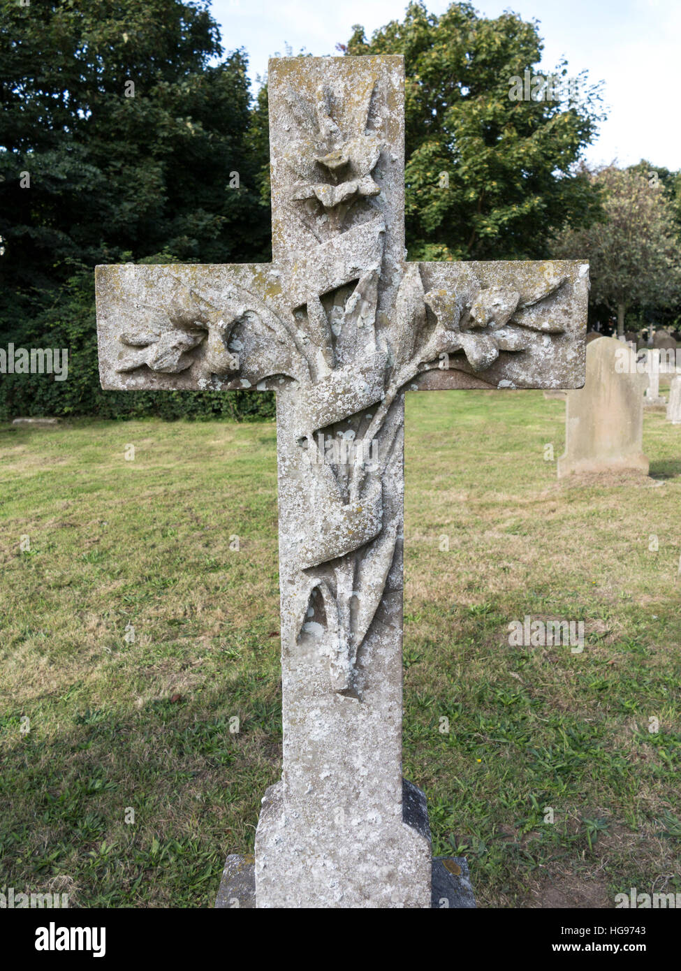 Tree with memorial ribbon hi-res stock photography and images - Alamy