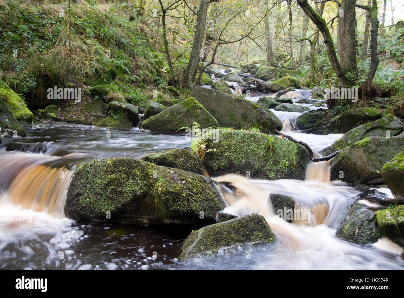 Burbage Brook flows down the forested rocky river valley of Padley ...