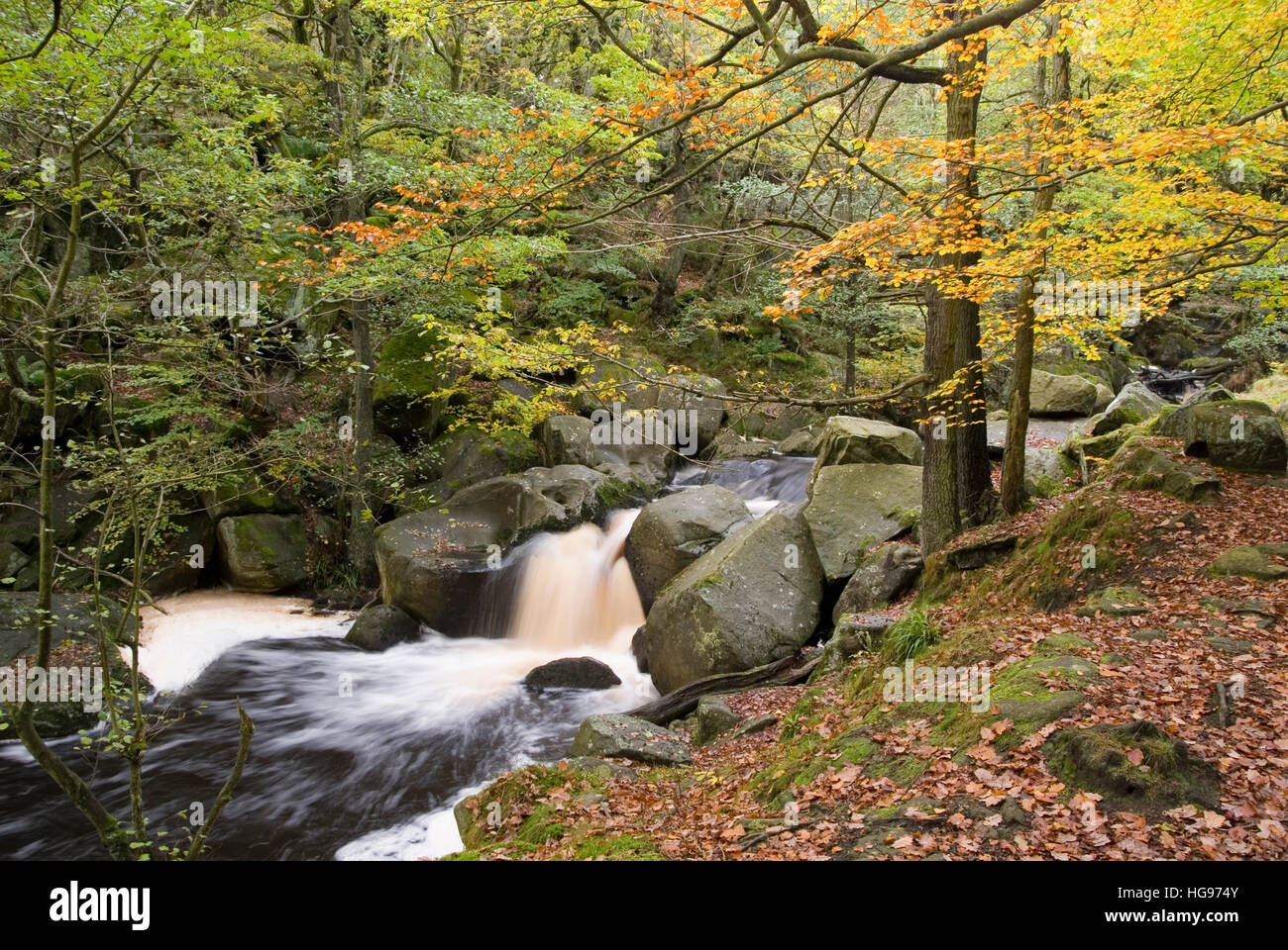 Padley gorge detail hi-res stock photography and images - Alamy