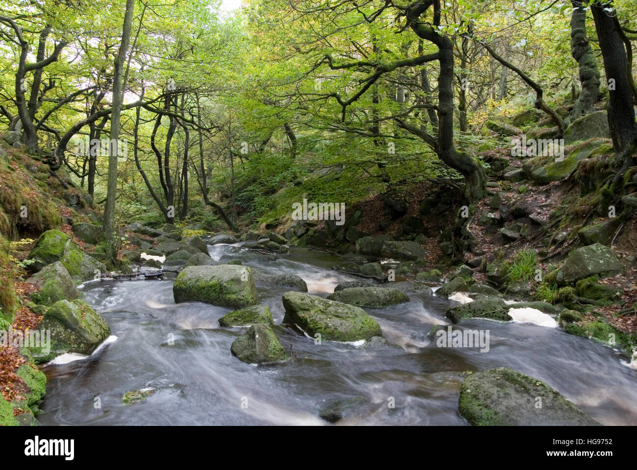 Padley gorge detail hi-res stock photography and images - Alamy